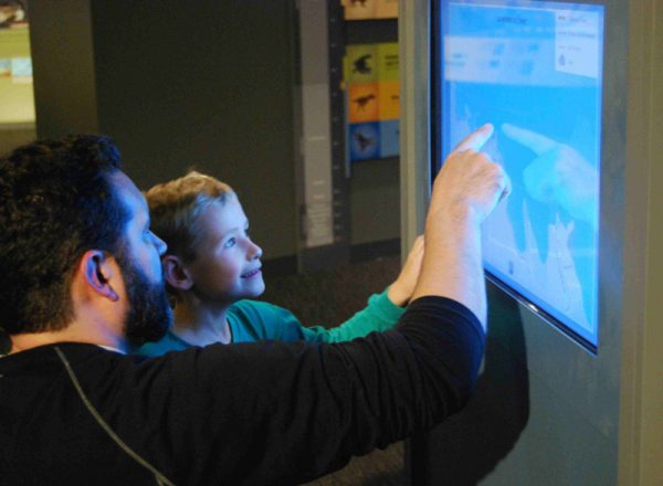 Examples of interactive museum exhibits, displays and installations