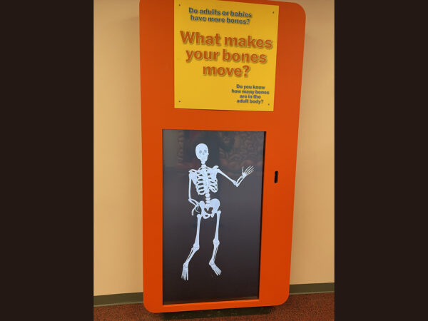 Examples of interactive museum exhibits, displays and installations